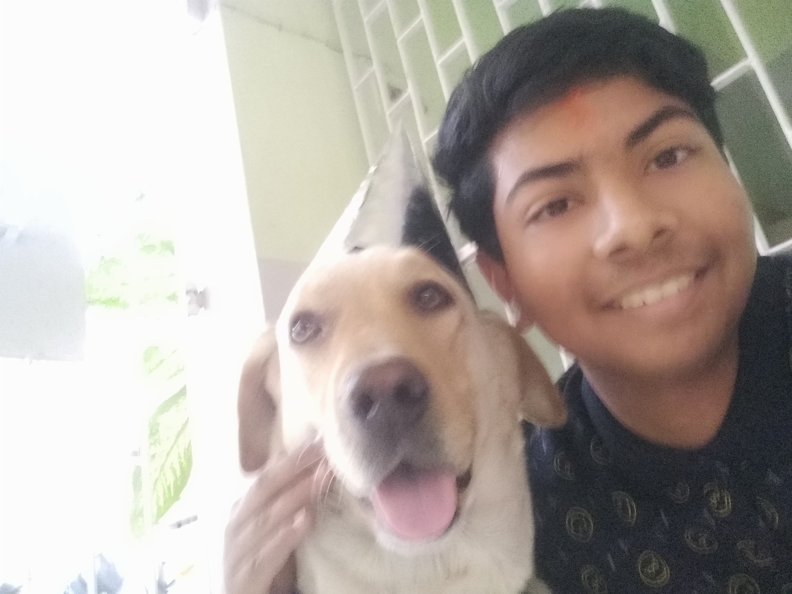 Portfolio | Shivansh raj